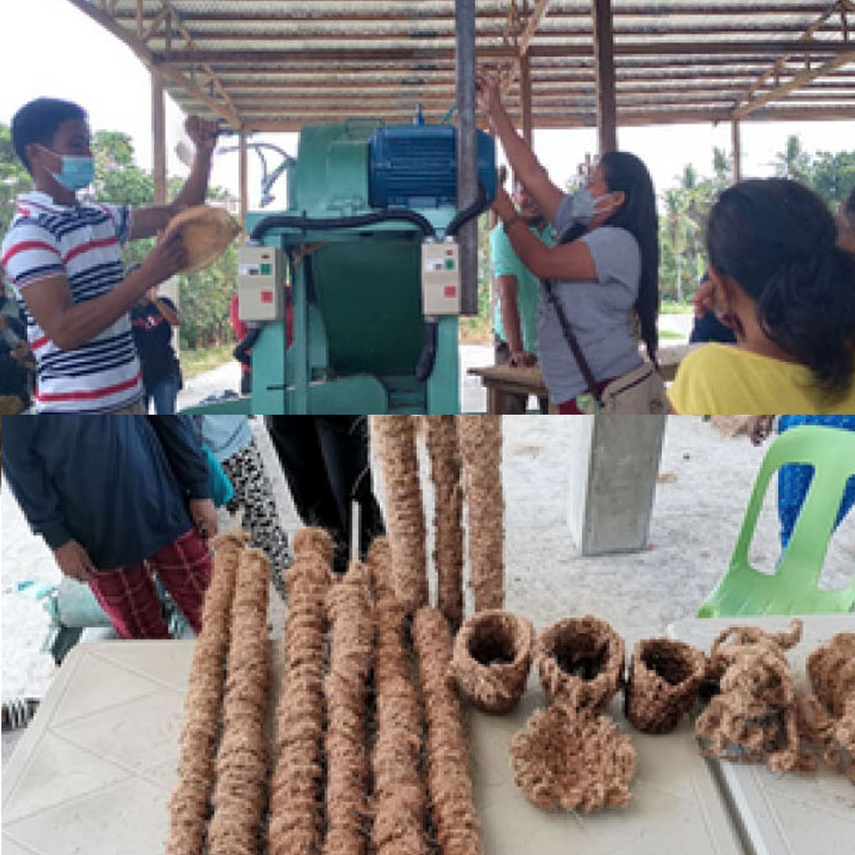 IRDF DMDP COCO | Integrated Rural Development Foundation